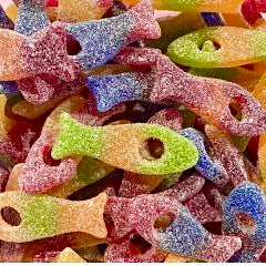 Fizzy Rainbow Fish – The Original Lolly Store
