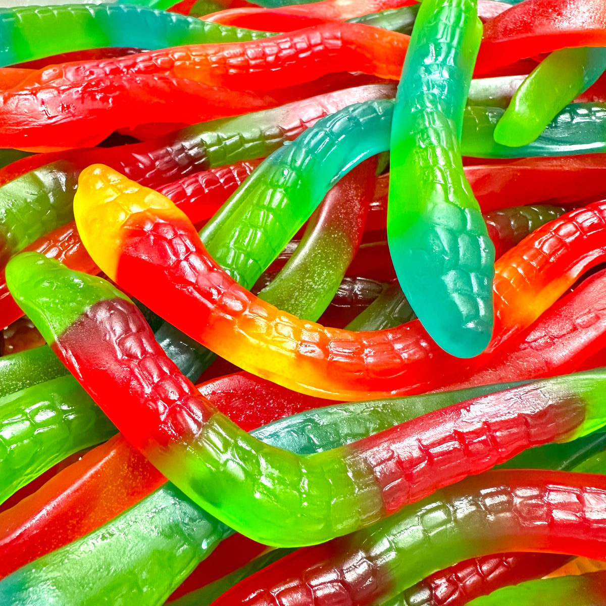 Mega Snakes – The Original Lolly Store