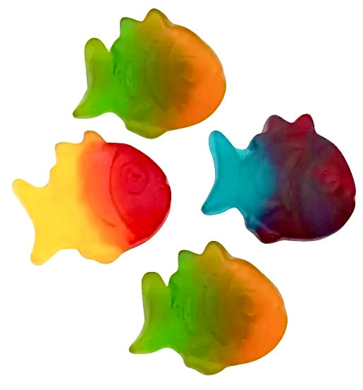 Tropical Fish UK – The Original Lolly Store