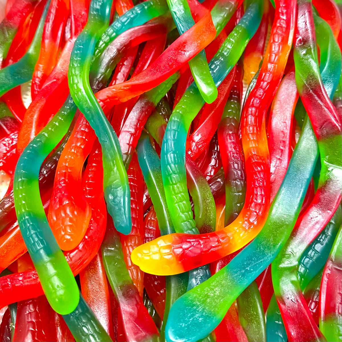 Mega Snakes – The Original Lolly Store