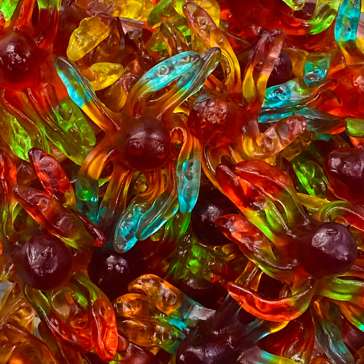 Gummy Octopus - Trolli – The Original Lolly Store