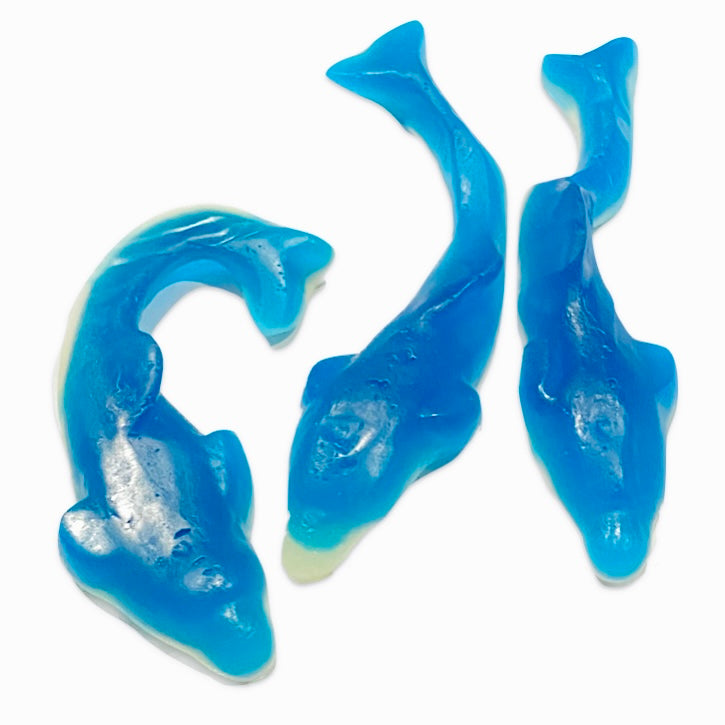 Giant Dolphins – The Original Lolly Store