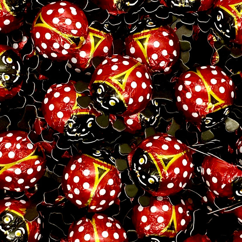 Foiled Chocolate Ladybirds - Storz – The Original Lolly Store